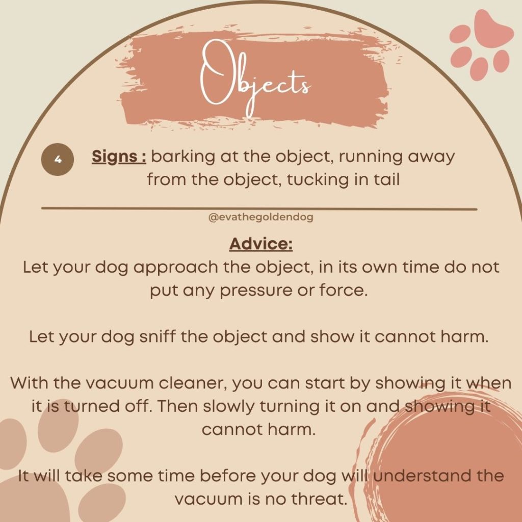 Proven methods to handle the top 4 most common dog fears - Eva The ...