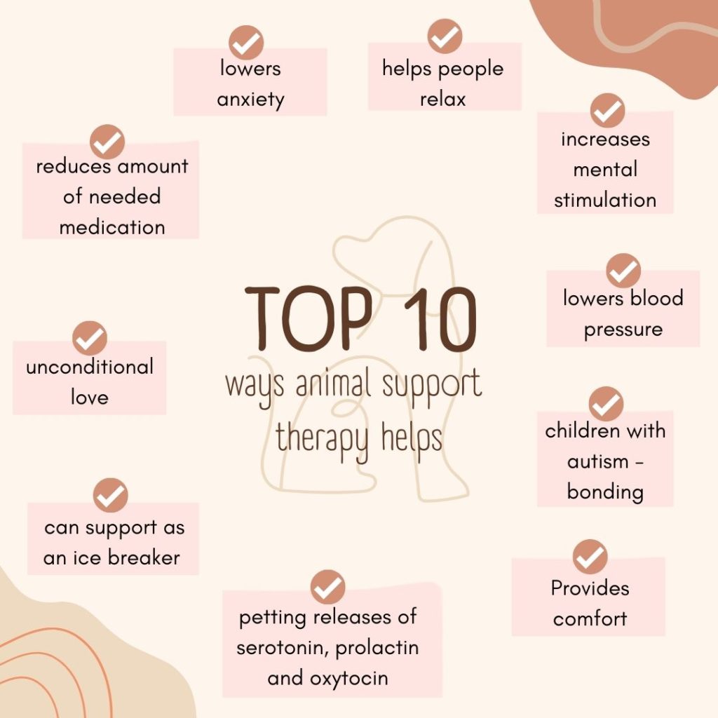 How can therapy dogs help people? - Eva The Golden Dog